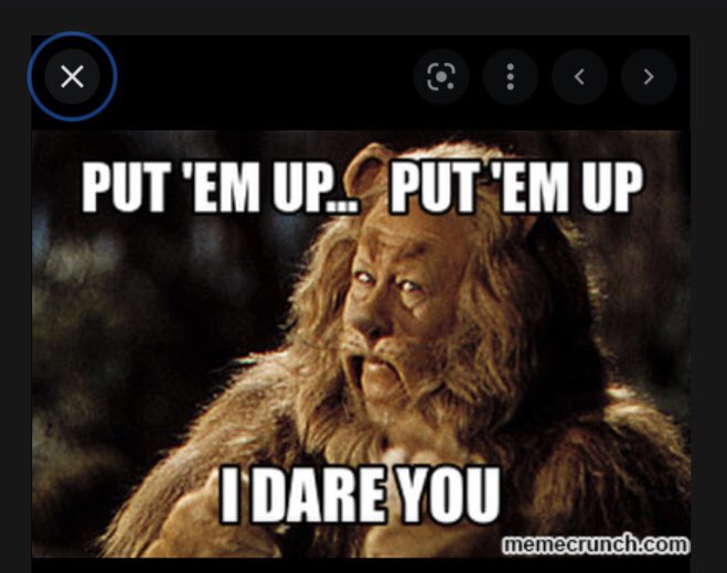 Put Em Up Put Em Up