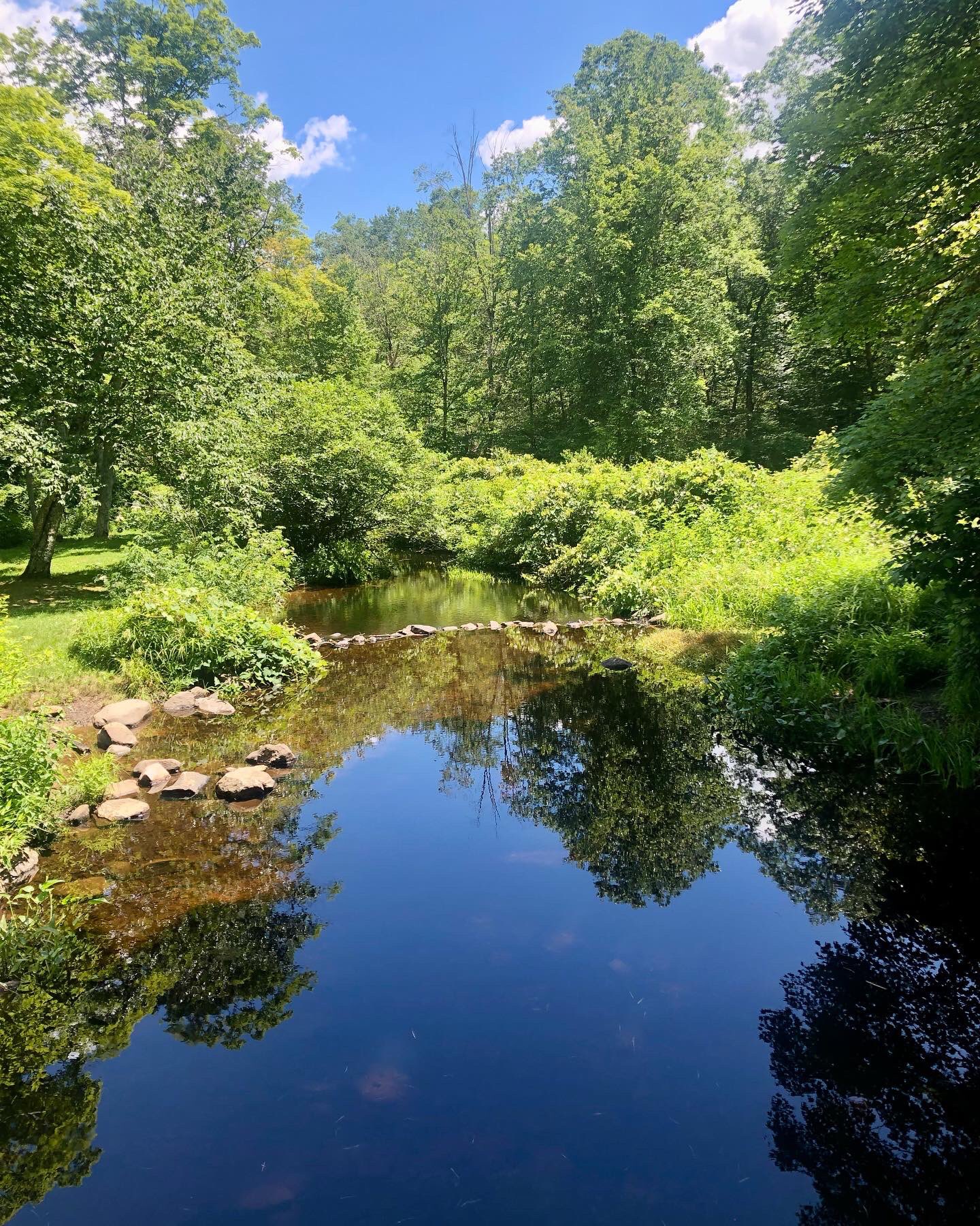 Beautiful Ponds In The Woods