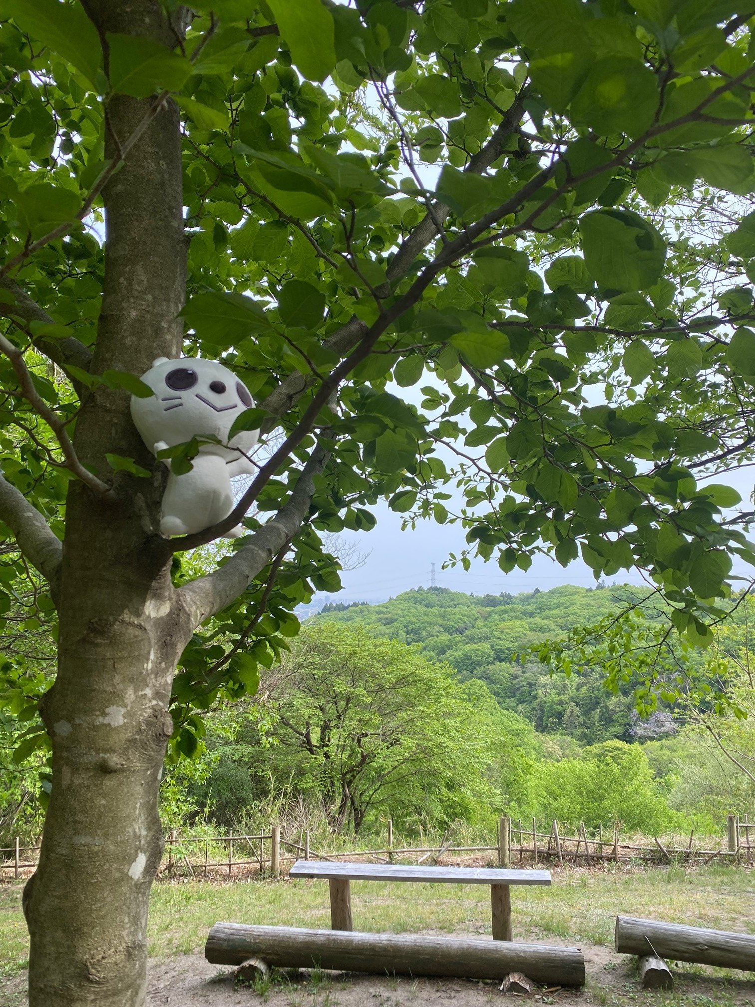 khb東日本放送 (@khb_5ch) / Twitter