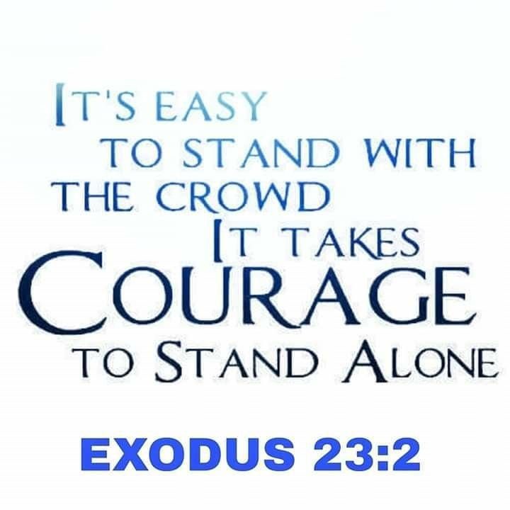 Following The Wrong Crowd