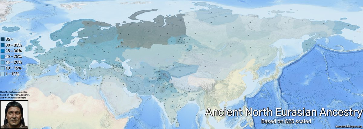 Ancient North Eurasian (ANE) admixture in modern day populations. The ...