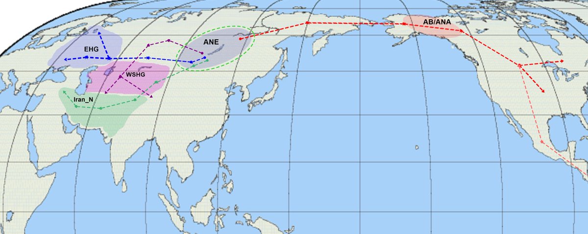 Ancient North Eurasian (ANE) admixture in modern day populations. The ...