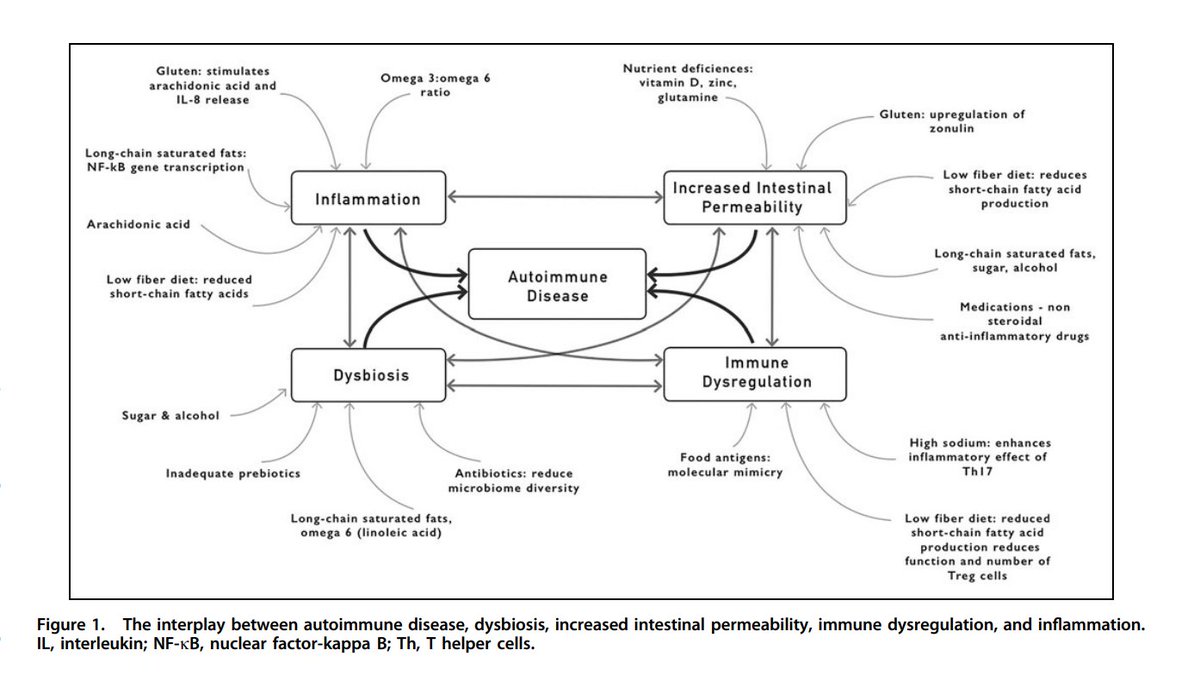 Thread by @IberianCitizen on Thread Reader App – Thread Reader App