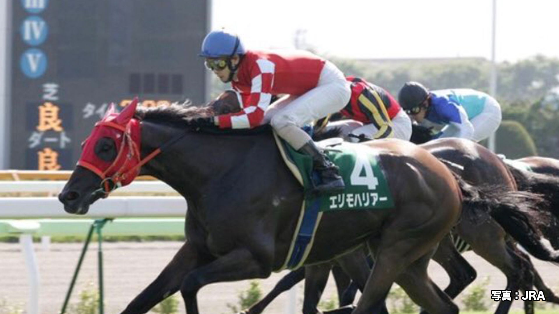 JRA FUN (@JRAFUN_Official) / Twitter