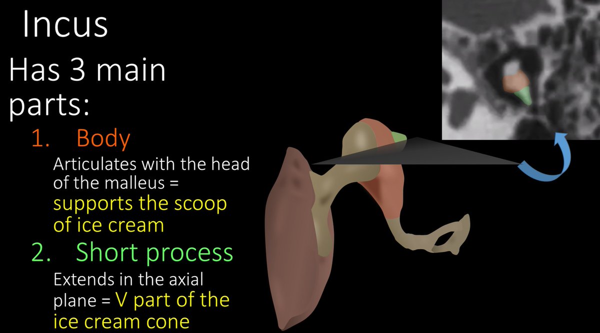 1/ “Now listen carefully!” Does the word “tbone” make you think of a ...