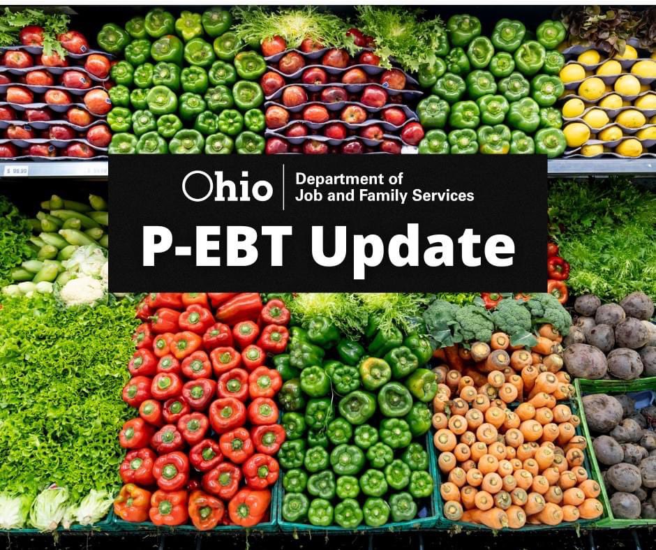 Ohio Food Stamps For 2022
