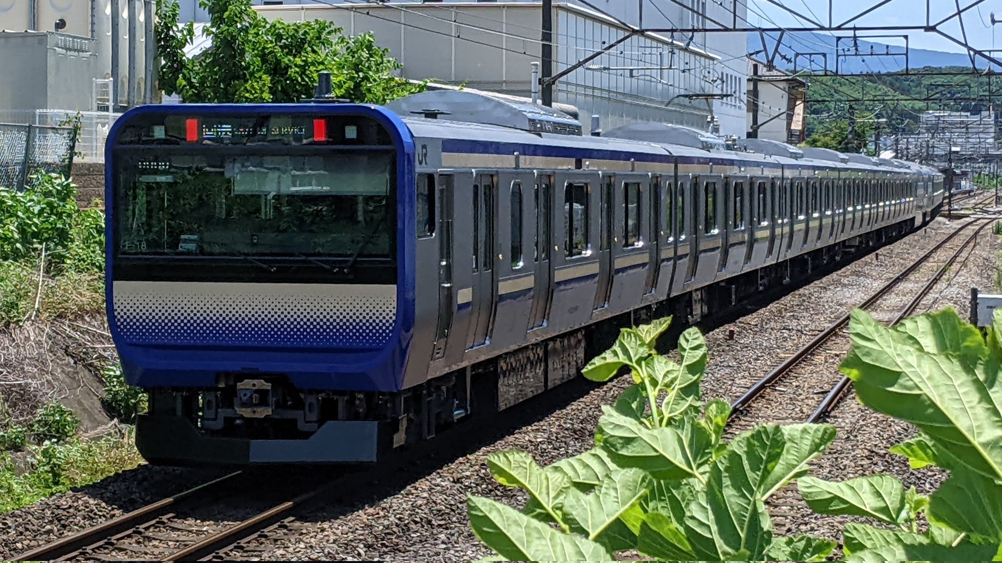 リズリット on Twitter: "2022/06/30(木曜) 配9728レ 新津出場配給 EF64-1031+E235系F-18編成 夏場は大きくなった雑草が多くて大変です。 #リズ ...
