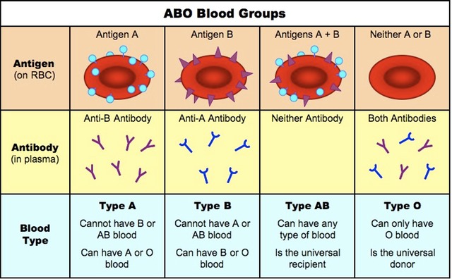 Short notes about Blood Group 🔻 ☆Blood Group antigens: High 🆚️ Low ...