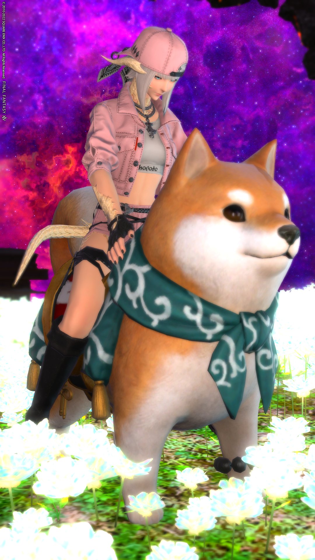 えのきさん＠Ridill on Twitter: "ハッピーセット https://t.co/K0B9Tuh68F" / Twitter