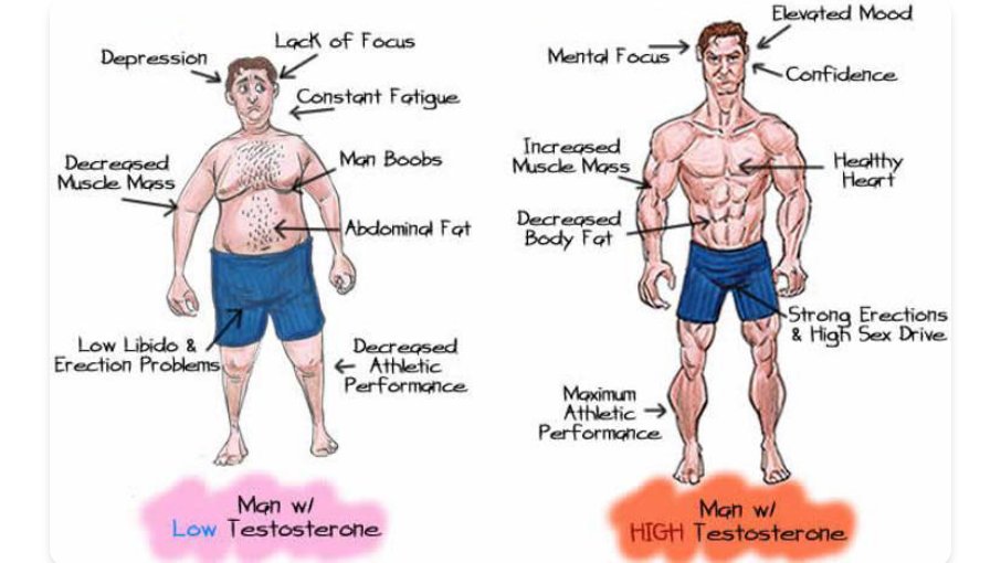 Low Testosterone Is The True Pandemic Men Face But If You Follow These low-testosterone-is-the-true-pandemic-men-face-but-if-you-follow-these