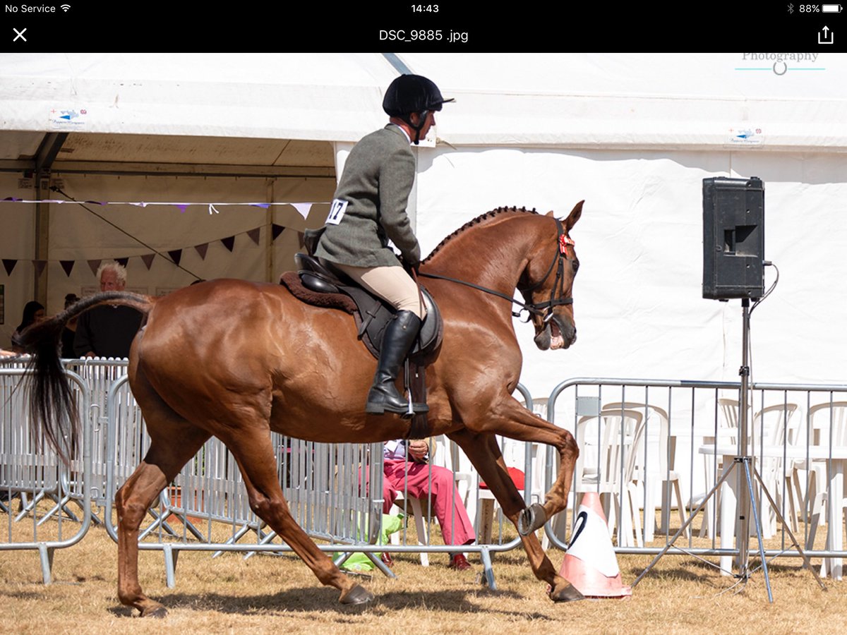 News | Brian Ellison Racing