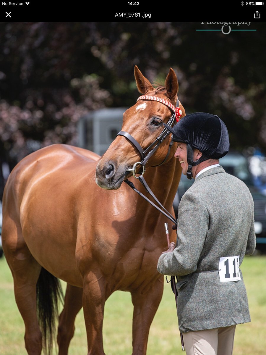 News | Brian Ellison Racing