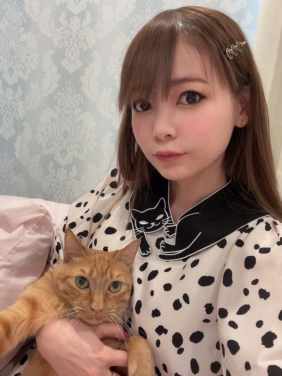 20周年の中川翔子🪐 on Twitter: "mmts オリジナル襟ブチ猫ワンピース 襟はつけはずし可能！ さらさら素材でしわにならないよ 20%おふ‼️ https://beams.co ...