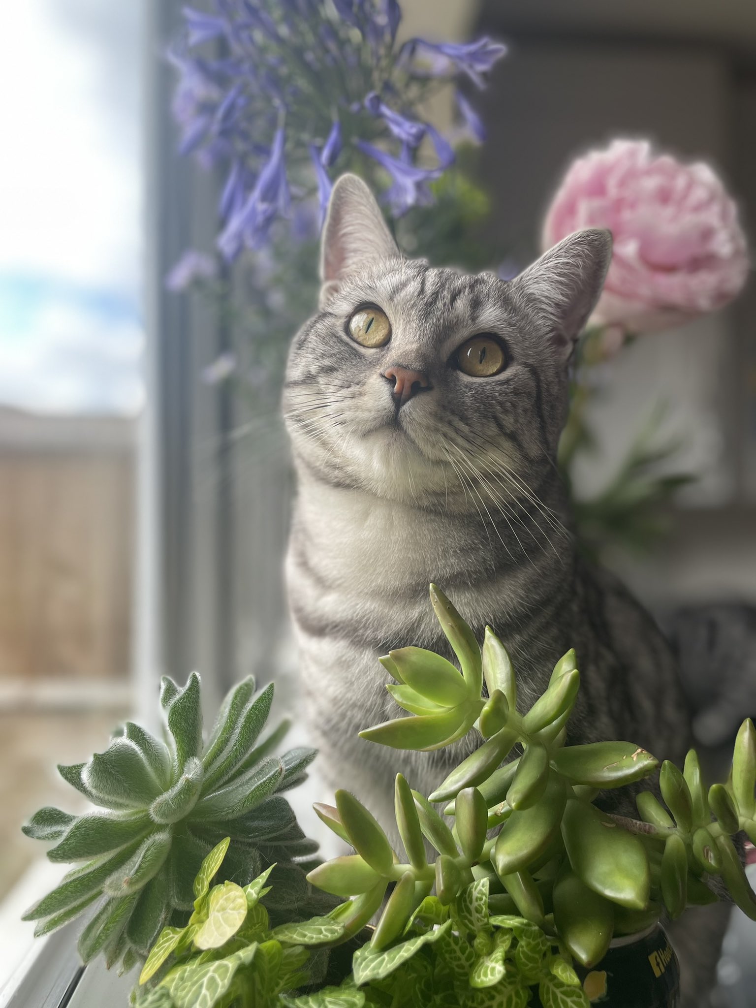 Emily Weston on Twitter: "@ReallyschoolK @MissH10766947 @lymden79 @Vivi_teach @Gaiinz @rf_watson ...