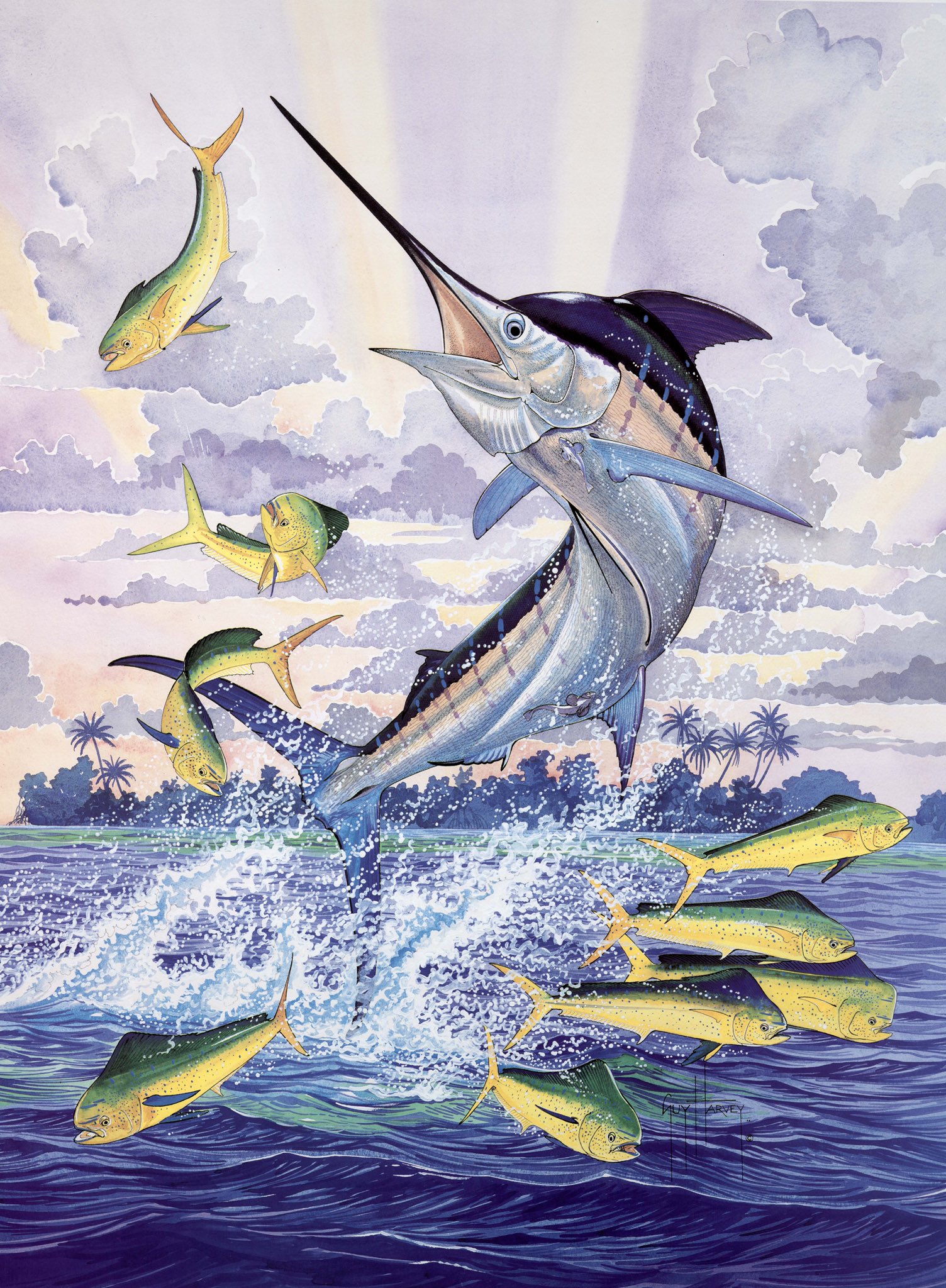 Mahi Mahi Guy Harvey