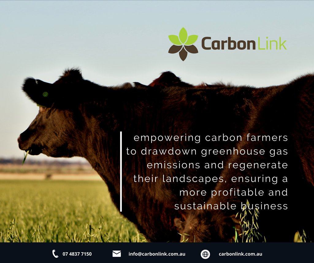 Regenerative Grazing Principles | RCS Australia