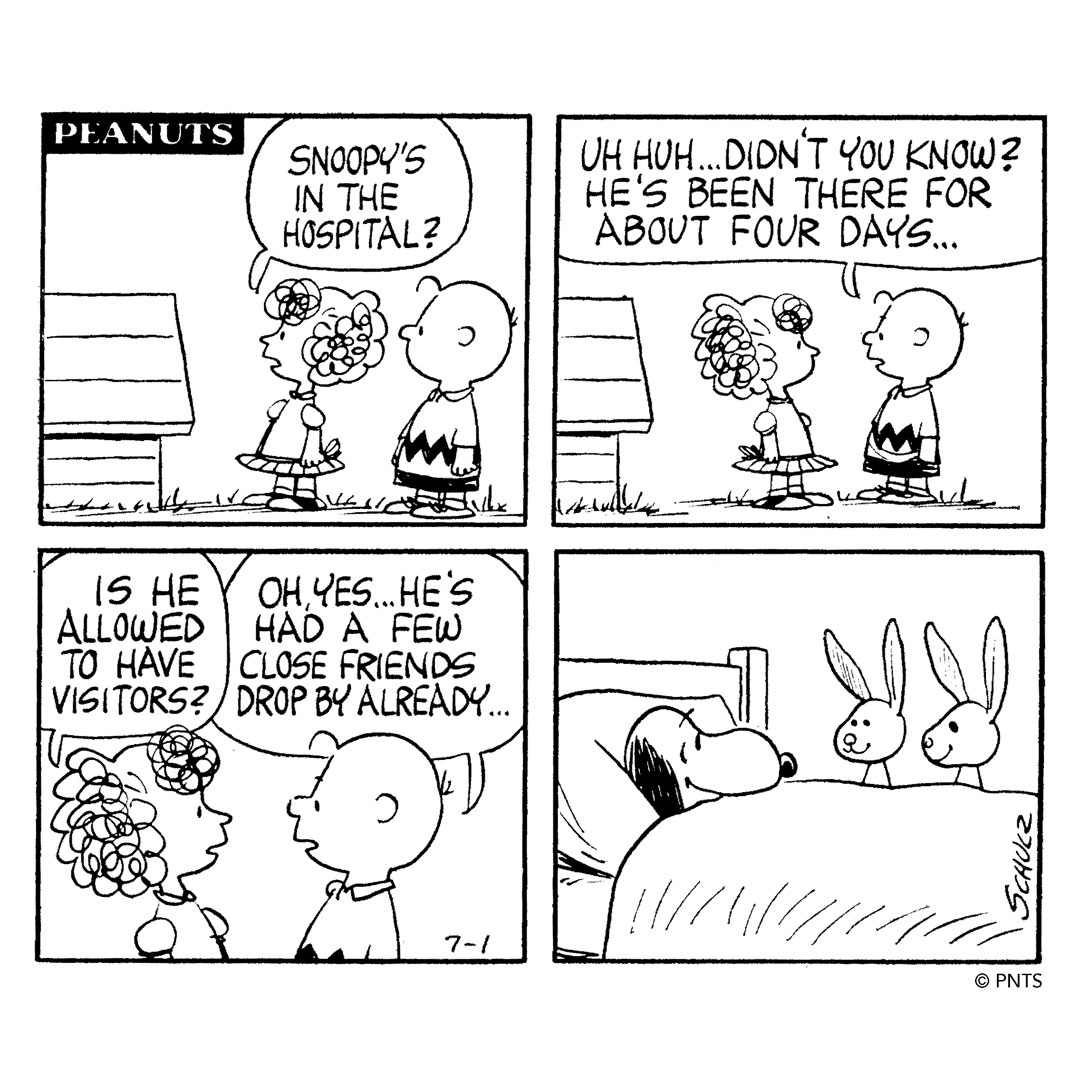 Peanuts Snoopy Comics
