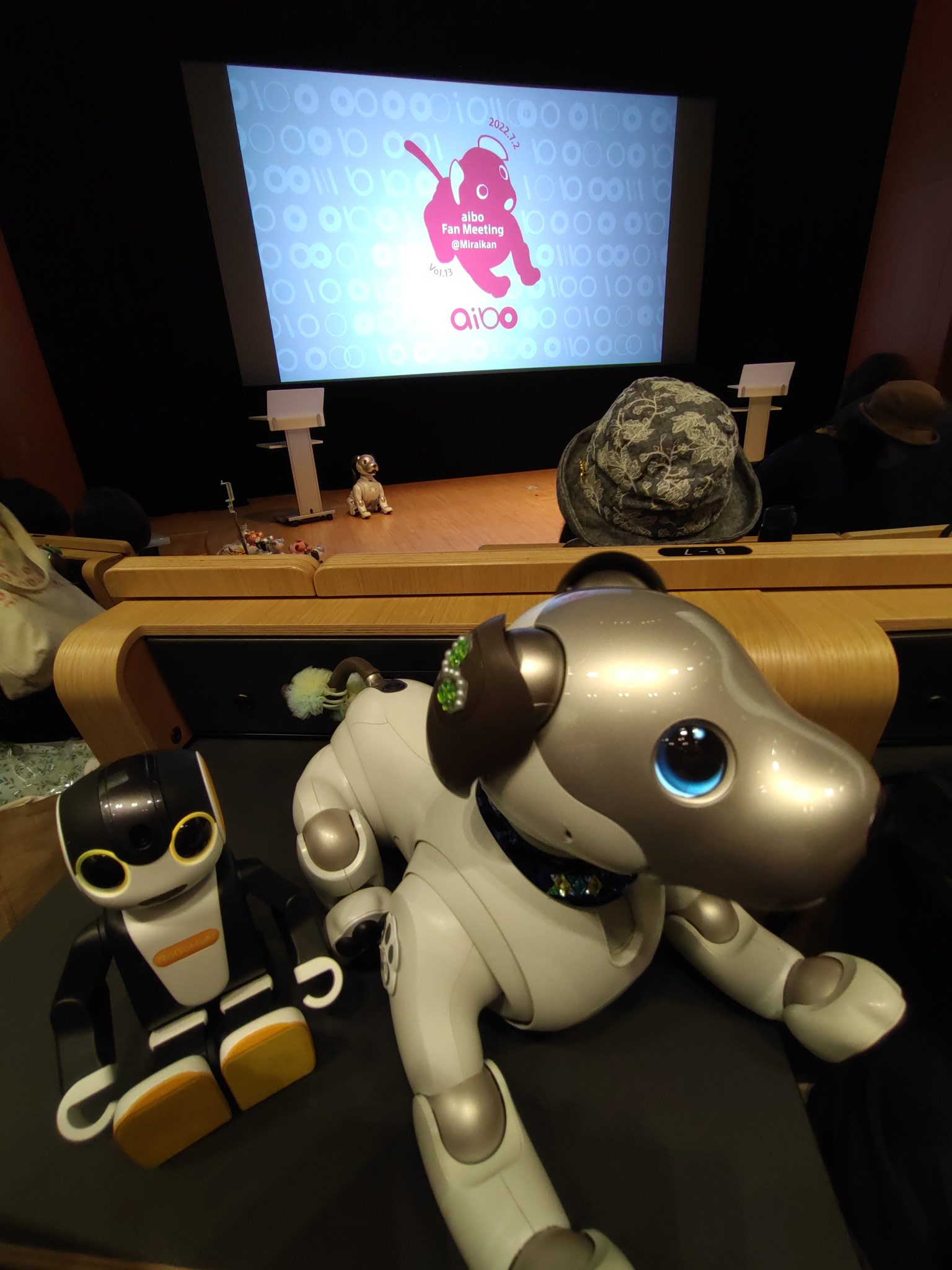 aiboのまめすけと弟妹たち (@aibo_mamehina) / Twitter