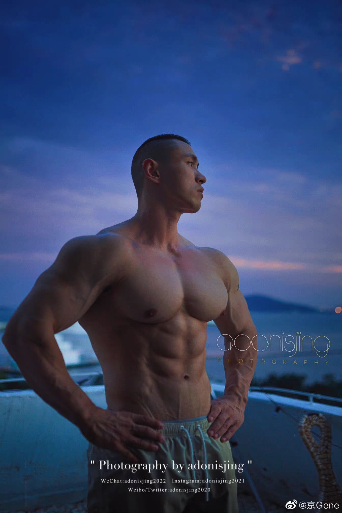 FOREST ALBUM 🏳️‍🌈🕊️🇺🇦 on Twitter: "友情转发for @adonisjing2020 https://t.co/ZpjMFooJnY" / Twitter