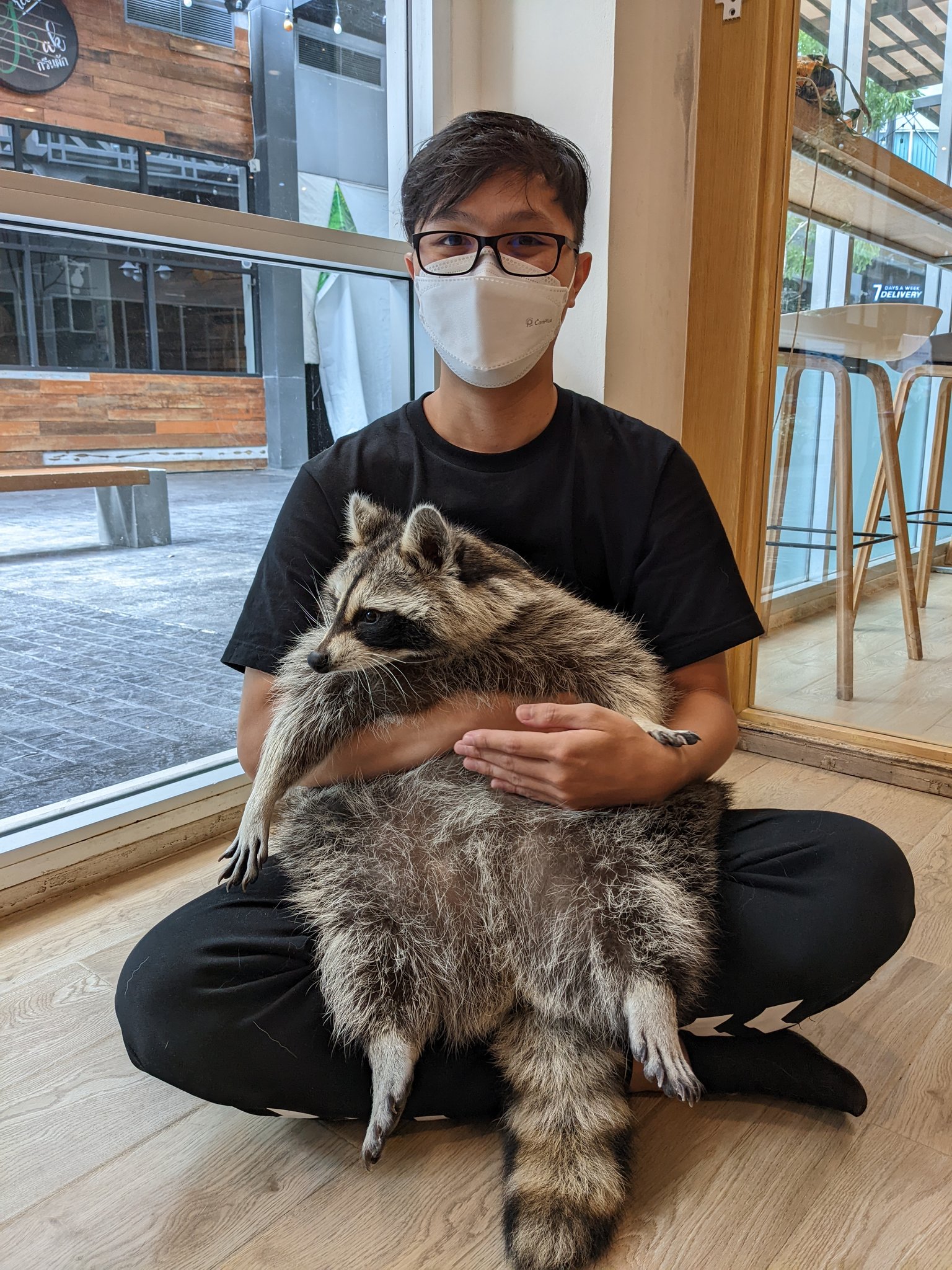 Yato Alter / 夜人アルター on Twitter: "Fuffy 🦝🦝 https://t.co/GPDkuHXWl5" / Twitter