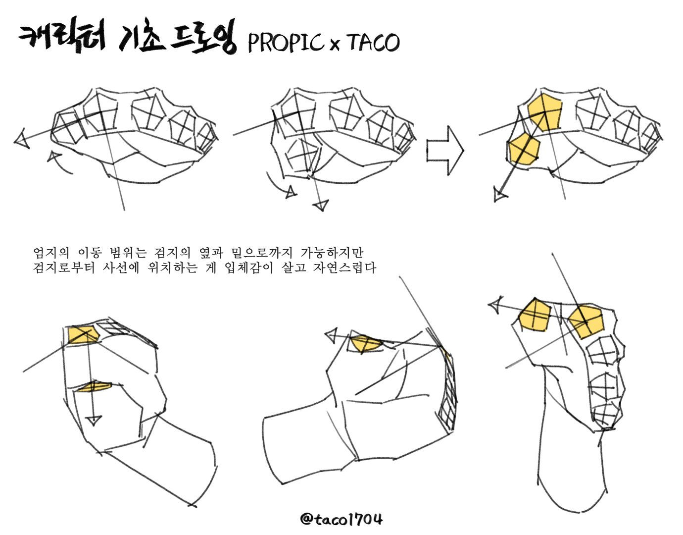 타코작가 On Twitter 엄지의 이동 범위는 검지의 옆과 밑으로까지 가능하지만 검지로부터 사선에 위치하는 엄지가 입체감이 살고 자연스럽다