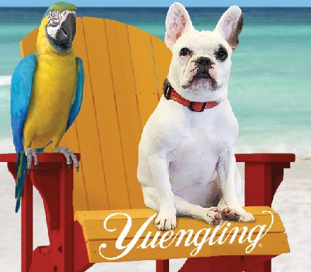 mybeer buzz on Twitter: "NEW: Yuengling Adding Bongo Fizz Mango Beer https://t.co/x9IRoTUje7 ...