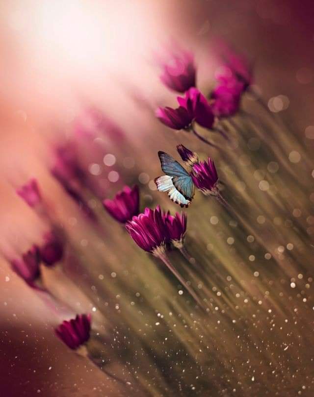 Уяхан On Twitter Өглөөний мэнд Euqpvn08zo Twitter