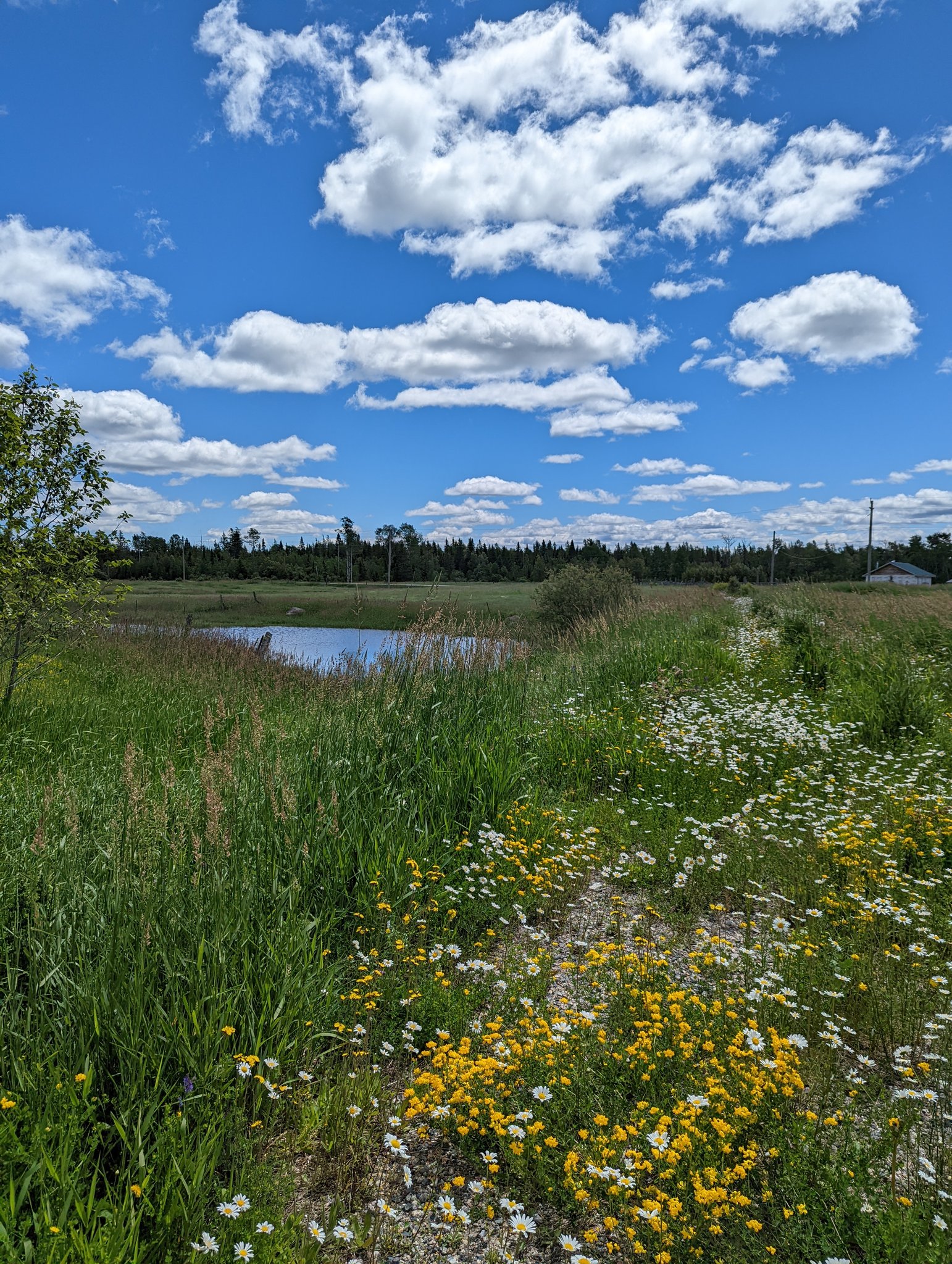 TW Pornstars - Charlie Cruise. Twitter. Home. 2:21 AM - 3 Jul 2022