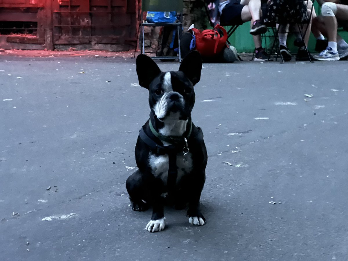 Tim Mak on Twitter : r/dogsofukraine