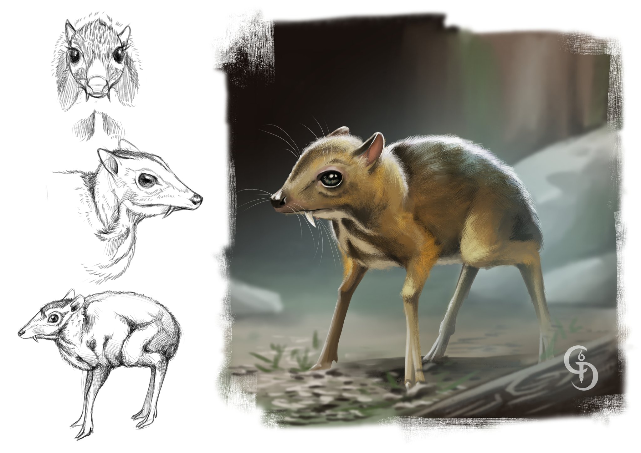 Mouse Deer Drawing