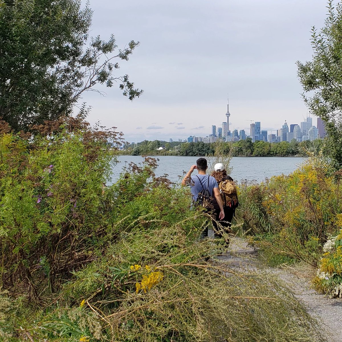 Home | Project Learning Tree Canada - Project Learning Tree Canada