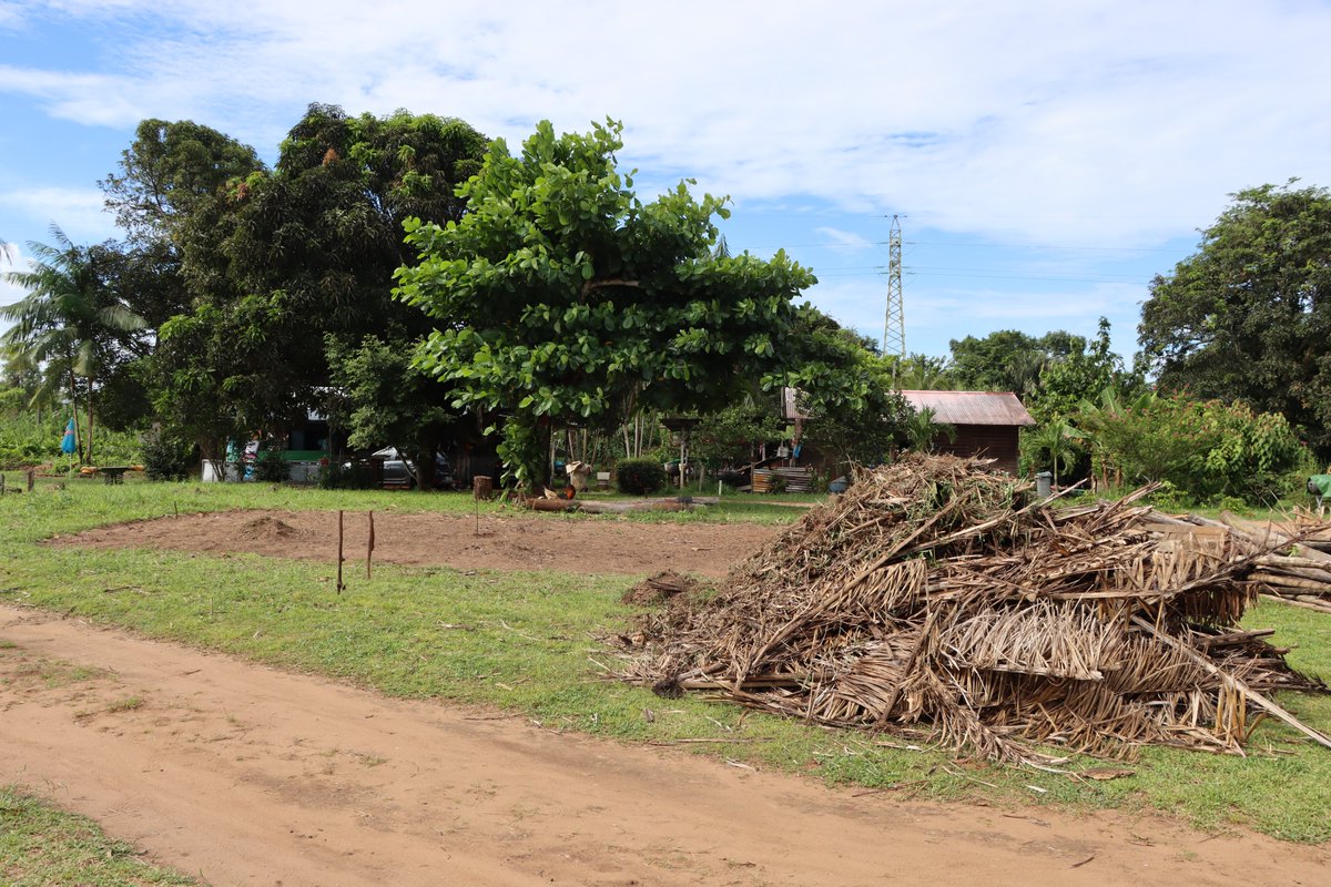 Communauté d’Agglomération du Centre Littoral de Guyane – Mieux vivre ...