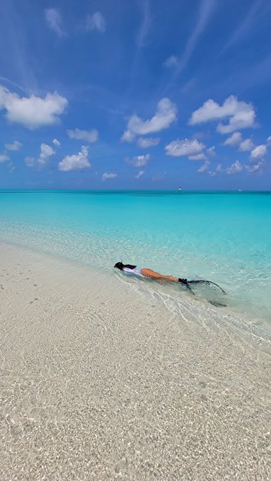 TW Pornstars - Kissa Sins. Pictures and videos from Twitter. Page 4