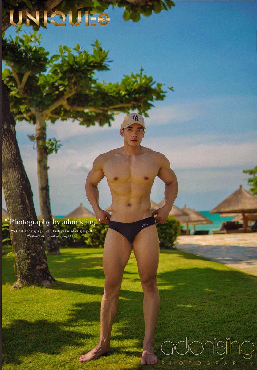 adonisjing @adonisjing2020 Timeline, The Visualized Twitter (Analytics)