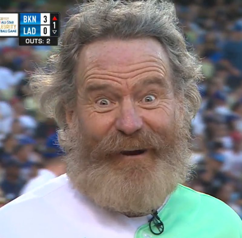 Robin Williams Jumanji Beard