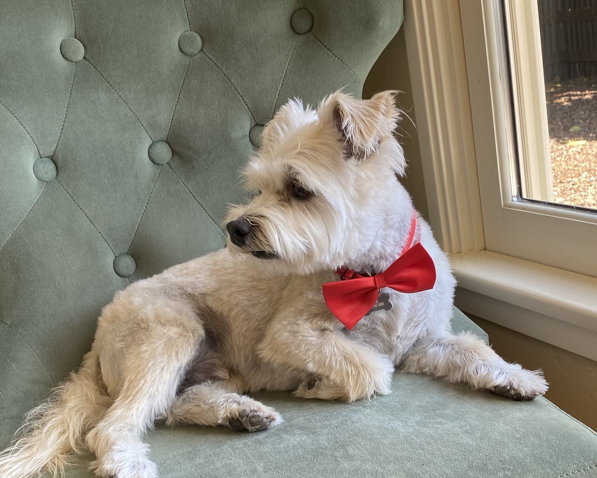 Thread by @Teri_Kanefield on Thread Reader App – Thread Reader App