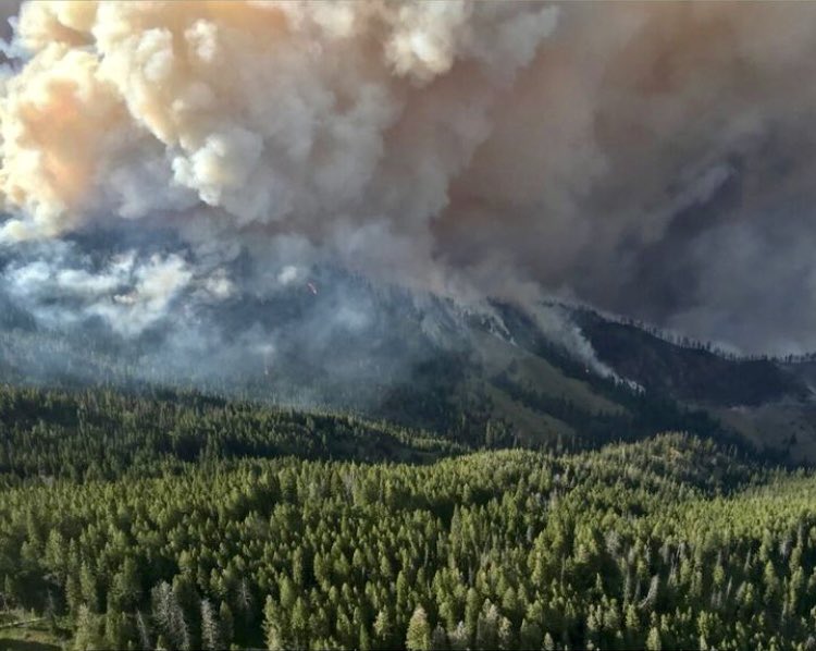 The Moose Fire: Hotshot Crews are being re routed from the Wildcat Fire ...