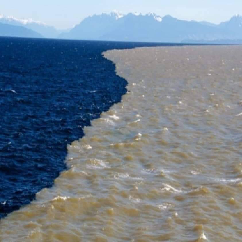 Two Rivers Meet But Dont Mix