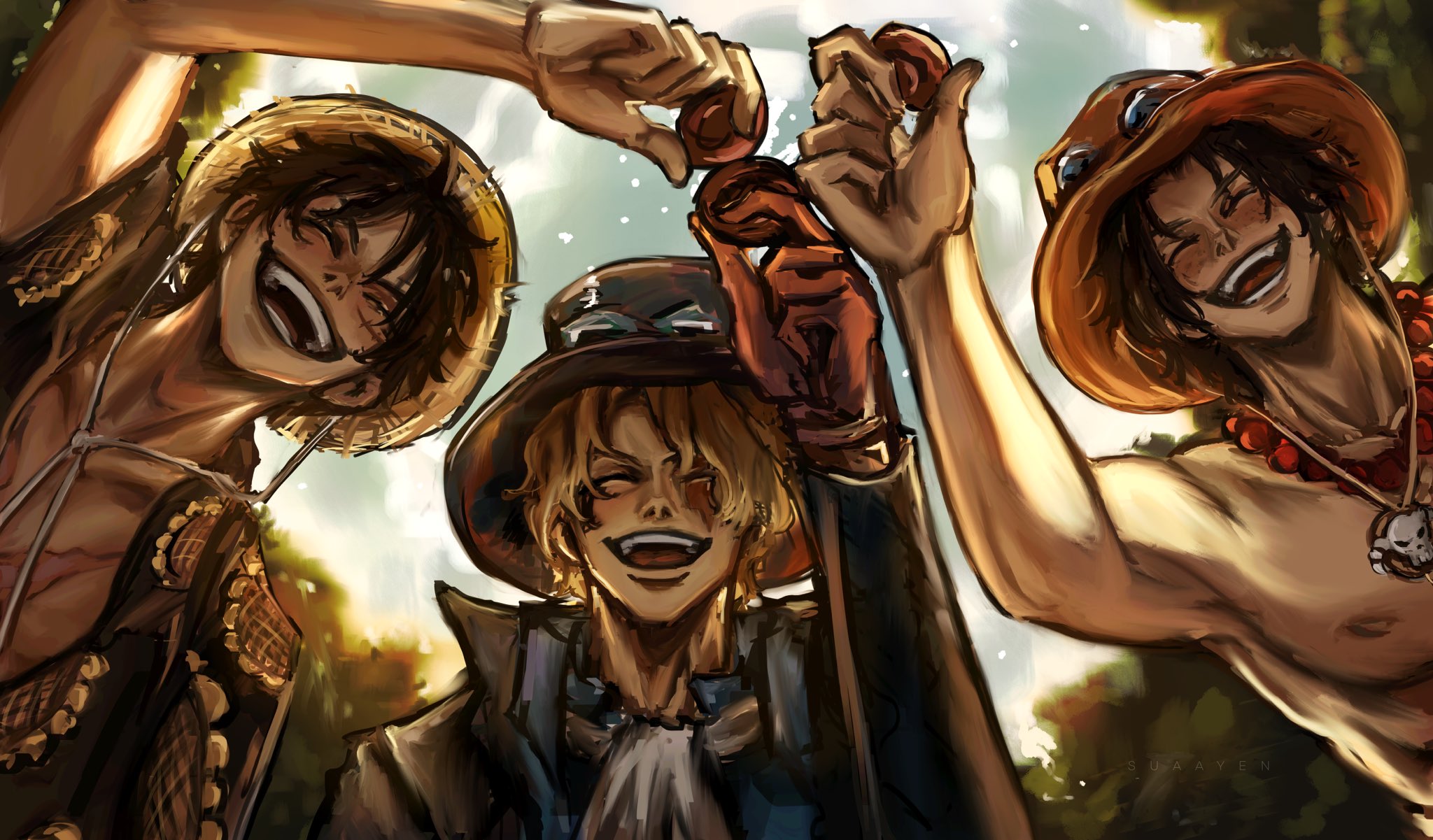 One Piece Ace And Luffy Back