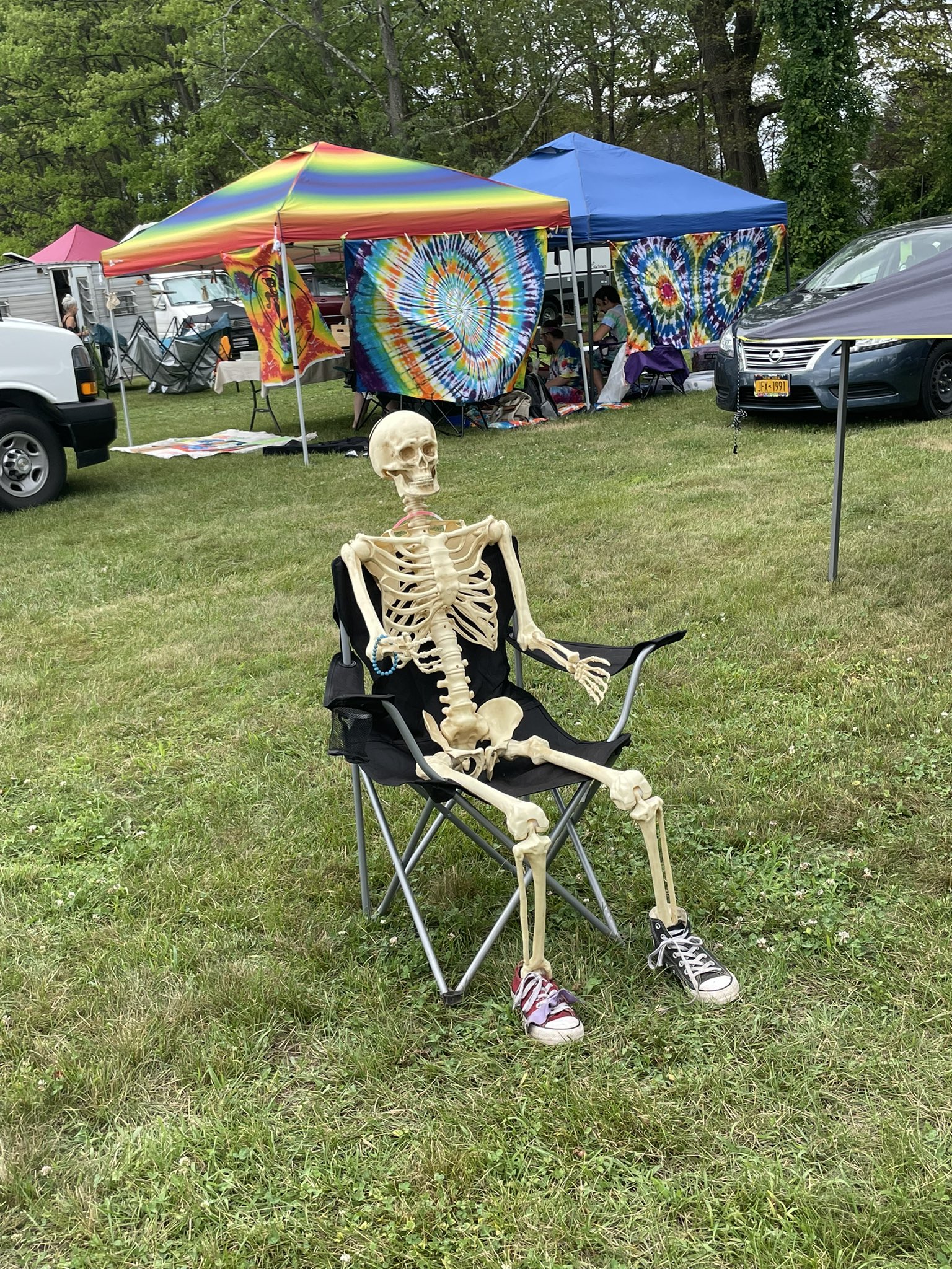 Shakedown Street Skeleton