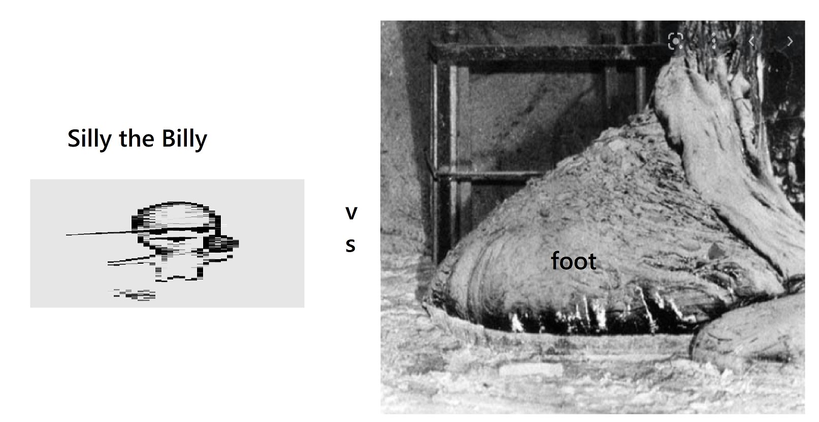 Chernobyl Elephants Foot Medusa