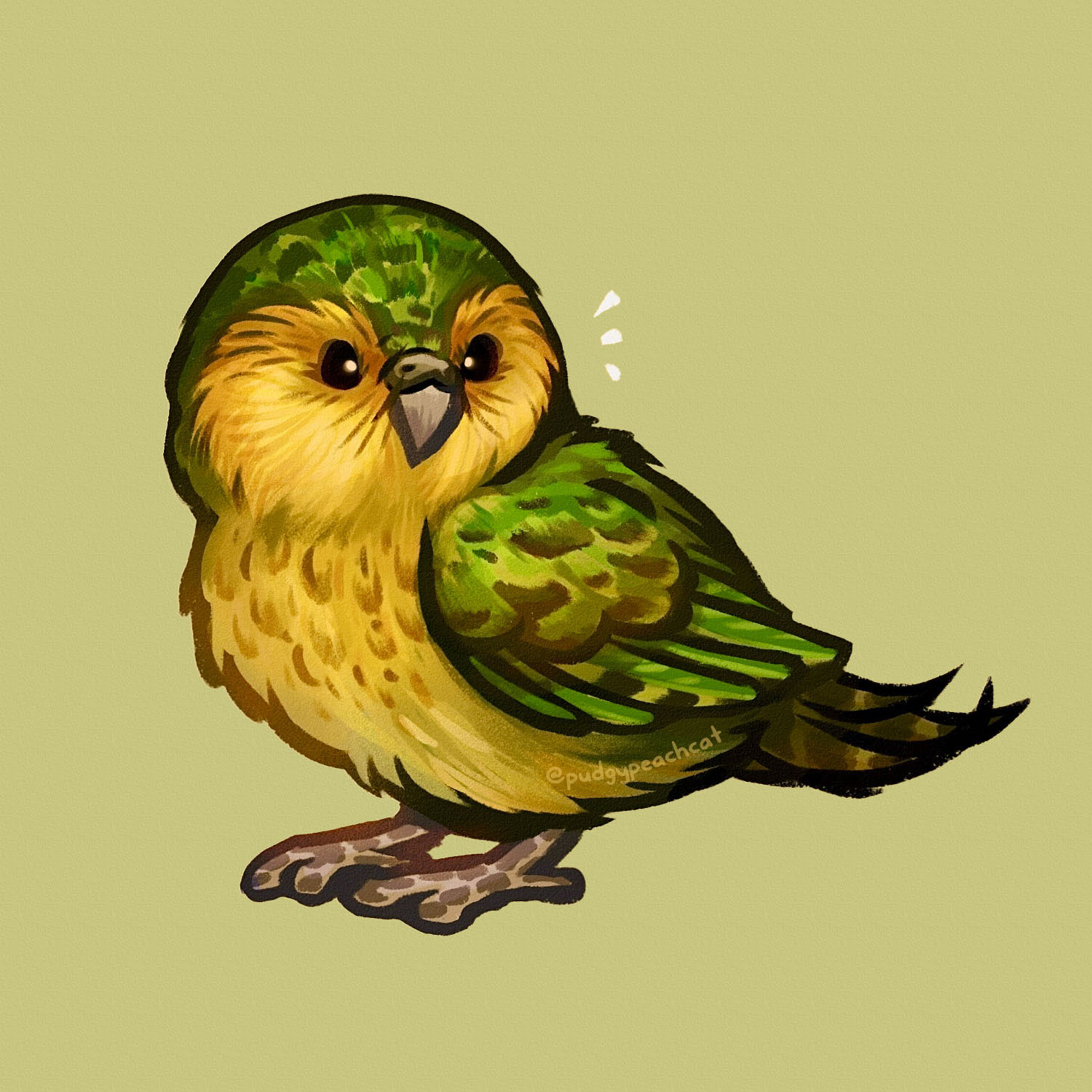 Kakapo Cartoon