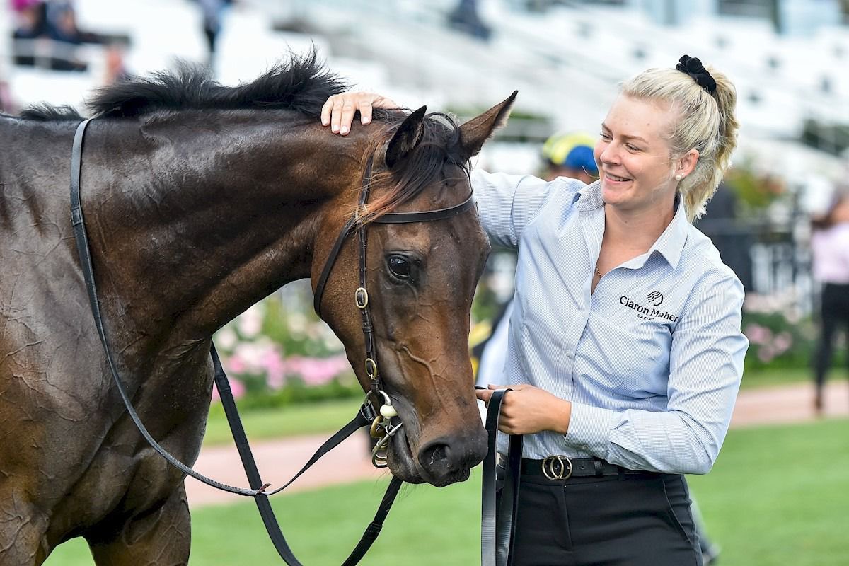 Ciaron Maher Racing on Twitter: "Yonce & Nikki | Sir Davy & Sarah #LoveTheHorse https://t.co ...