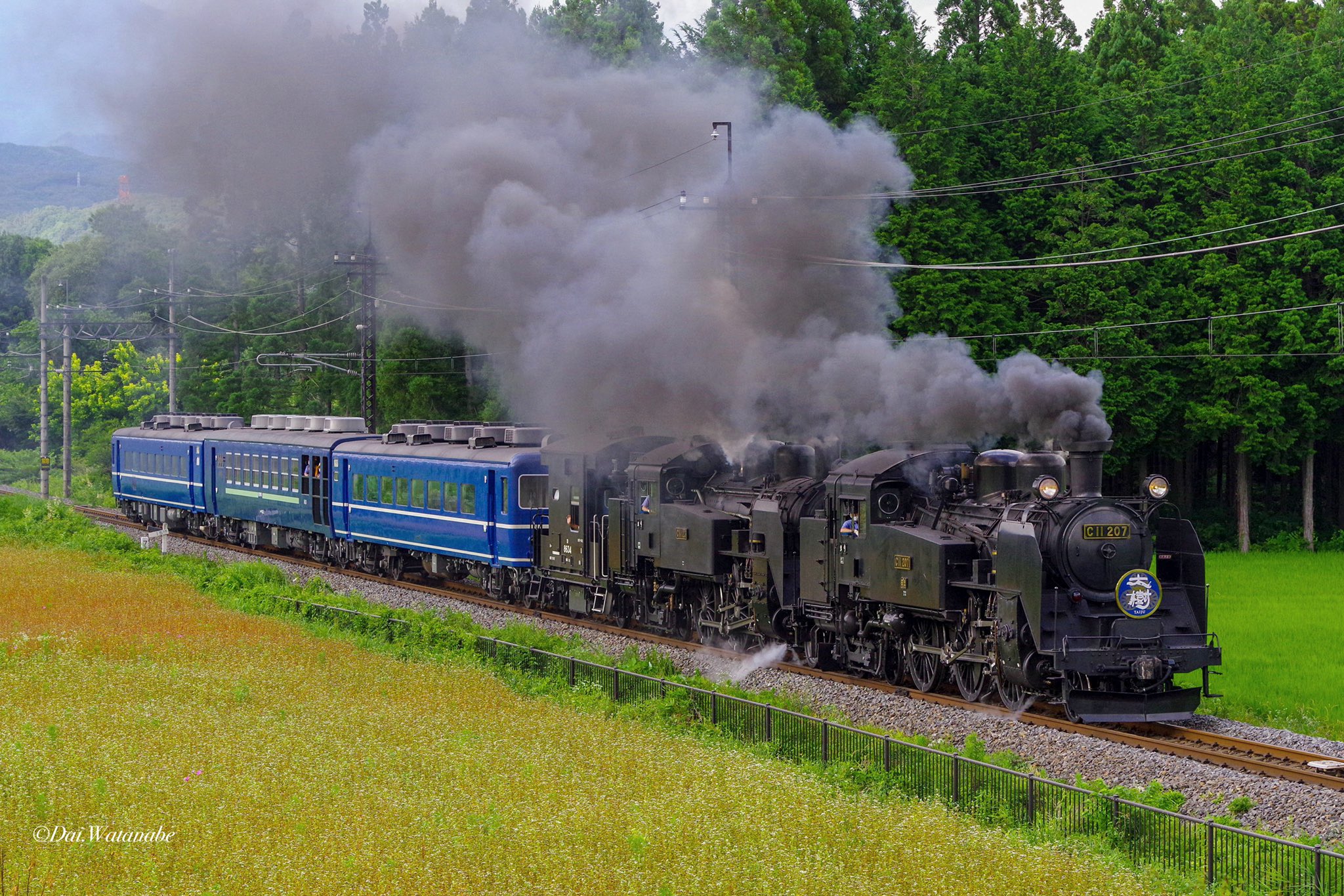 Dai on Twitter: "2022.7.7 『七夕大樹重連試運転』 C11 207+C11 123 重連試運転 #東武鉄道 #SL大樹 #試運転 #C11207 #C11123 ...