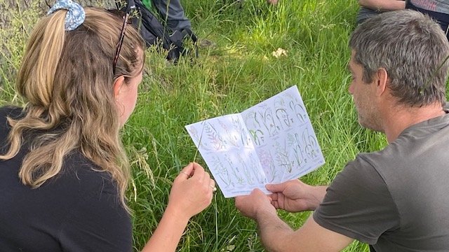 Wildwood Ecology - Lofty ideas - Bat mitigation and bat loft design