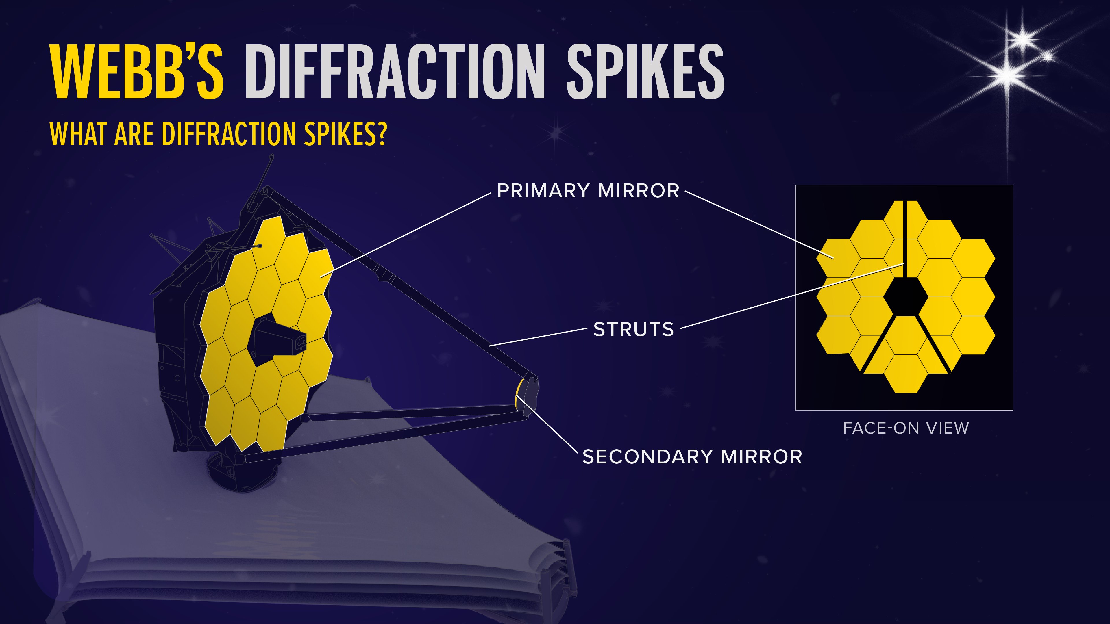 Dr. Quyen Hart, PhD (@astroquyen) / Twitter