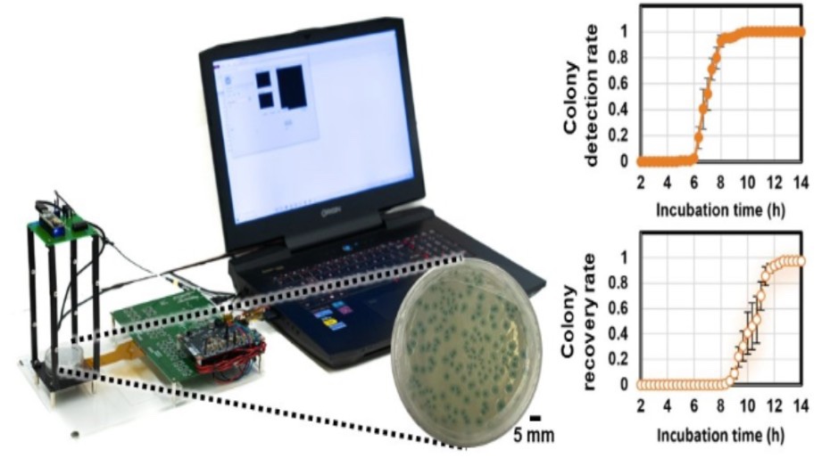 Arduino on Twitter: "Researchers have developed an automated, AI-based bacterial colony ...