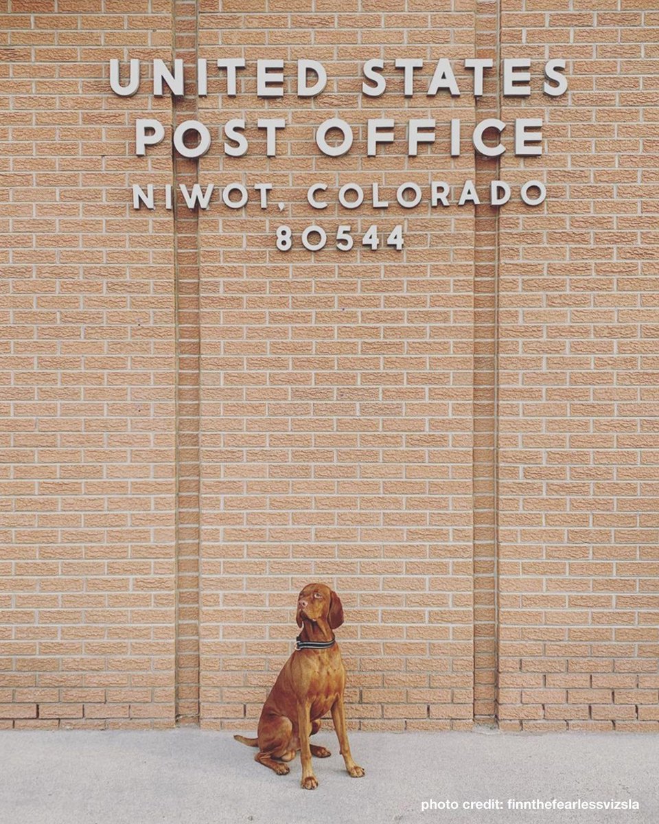 Are Dogs Allowed In Post Offices Usa