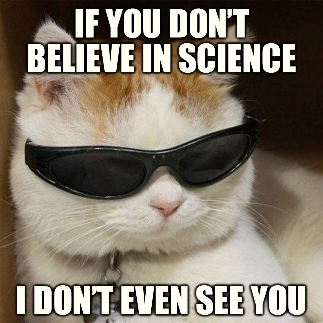 Science Cat Memes