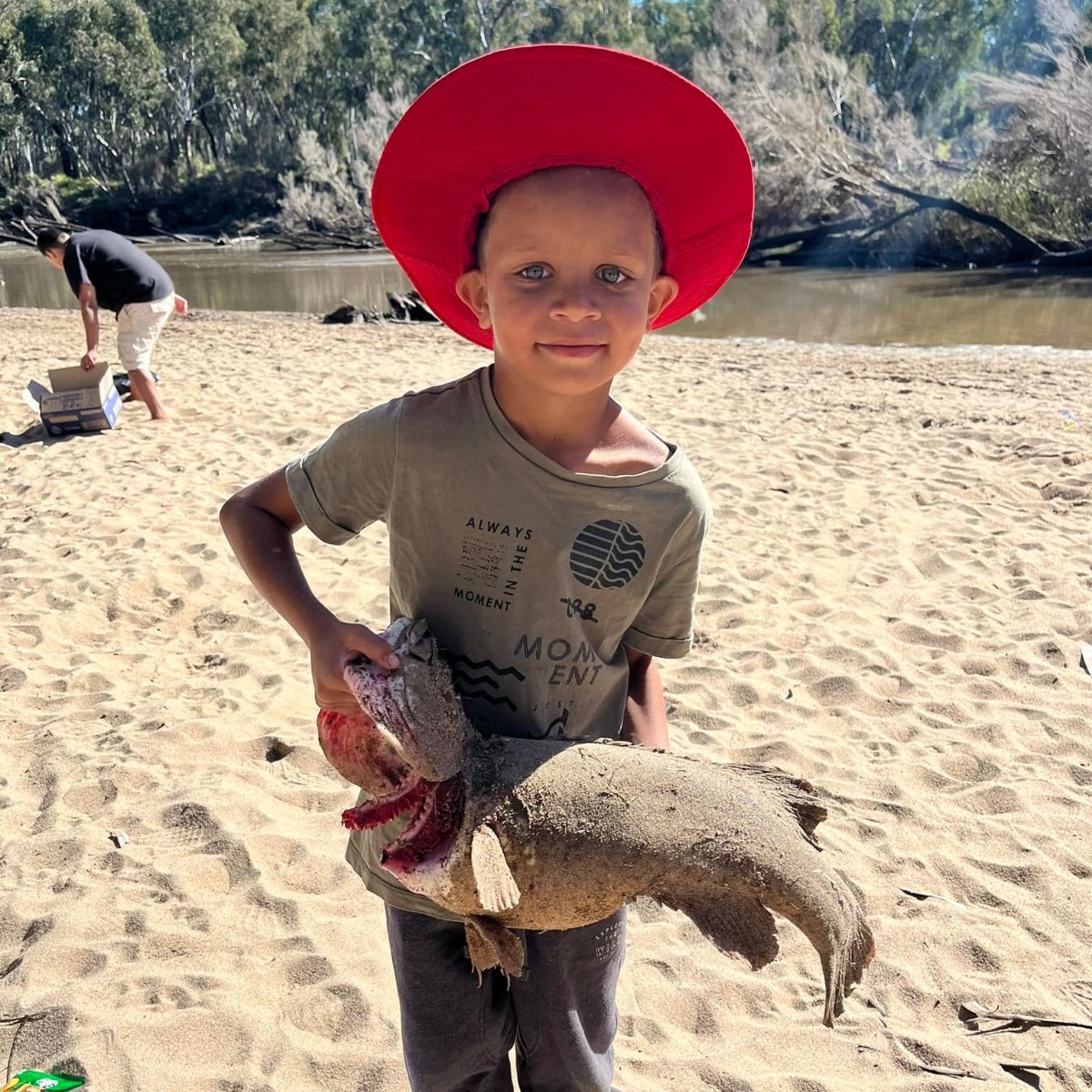 Toomelah School Clipart